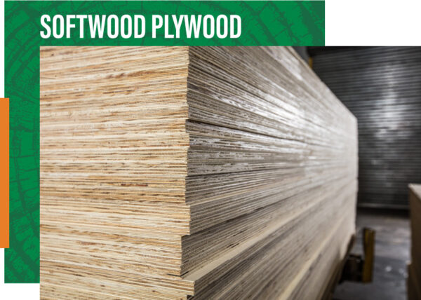 Buy Softwood Plywood for sale online * The Timber Connect Best Timber ...